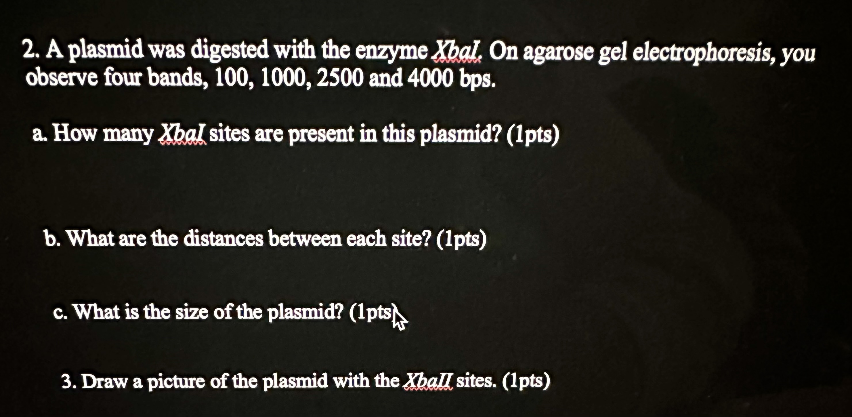 Solved A plasmid was digested with the enzyme xbaI, On | Chegg.com