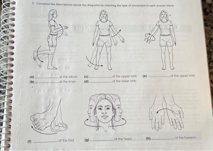 Solved 7. Complete the descriptions below the diagrams by | Chegg.com