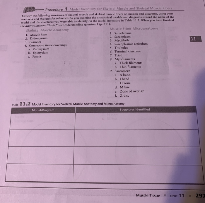 11 Procedure 1 Model Inventory for Skeletal Muscle | Chegg.com