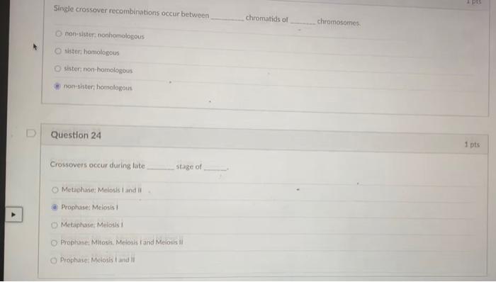 Solved Single crossover recornbinations occur between | Chegg.com