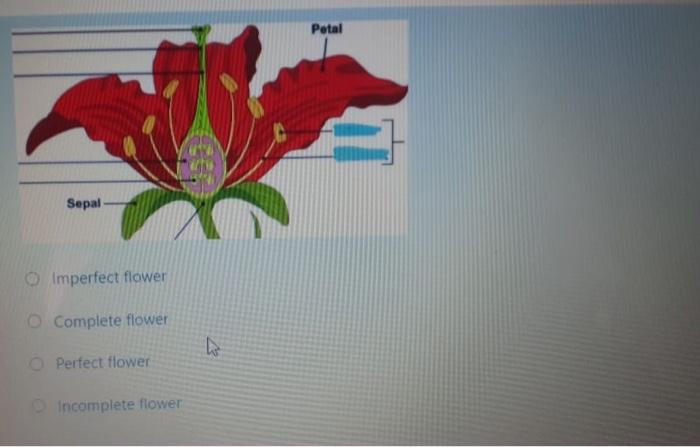 Solved Petal Sepal Imperfect flower Complete flower Perfect | Chegg.com