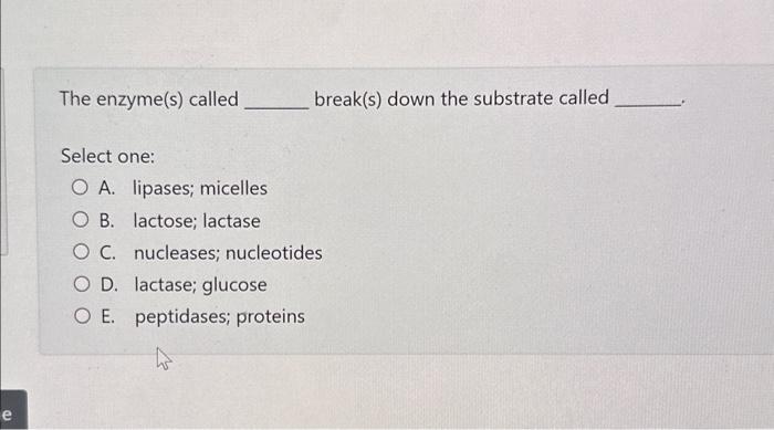 Solved The enzyme(s) called break(s) down the substrate | Chegg.com