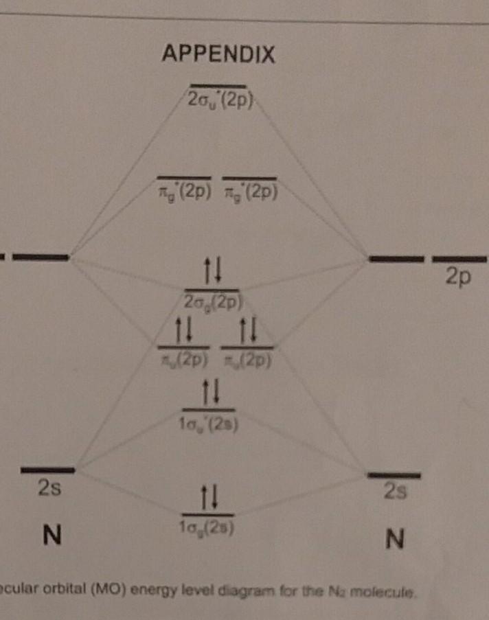 Solved N2 FI*2py. *2pz LUMO HOMO bonding n2py 0*2p #02p, | Chegg.com