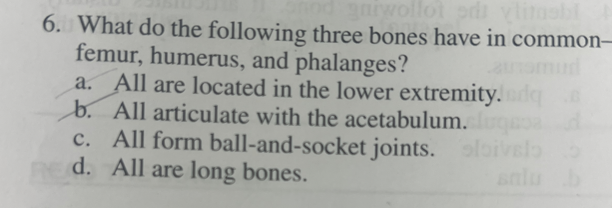 Solved What do the following three bones have in | Chegg.com
