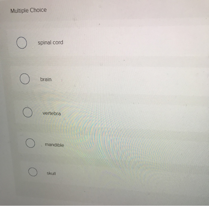 Solved Which structure is highlighted? Multiple Choice O | Chegg.com