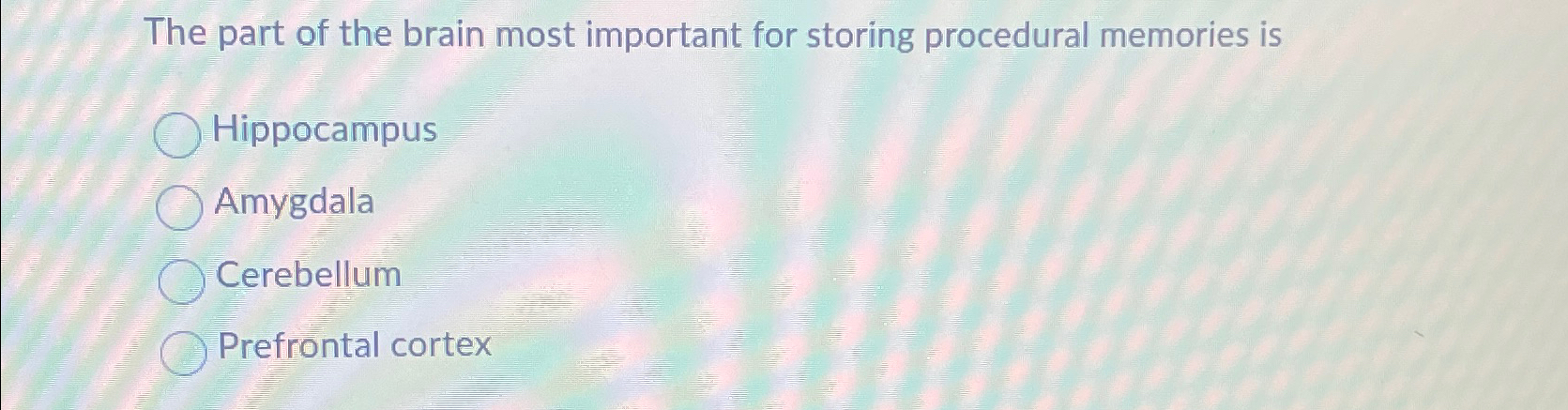 Solved The part of the brain most important for storing | Chegg.com | Chegg.com