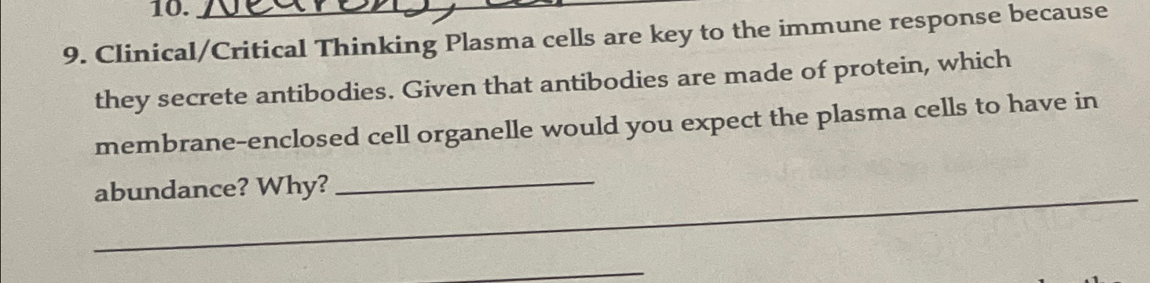 Solved Clinical/Critical Thinking Plasma cells are key to | Chegg.com