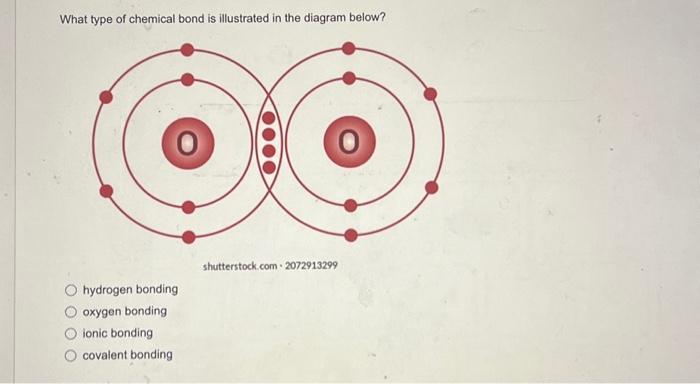Solved What type of chemical bond is illustrated in the | Chegg.com
