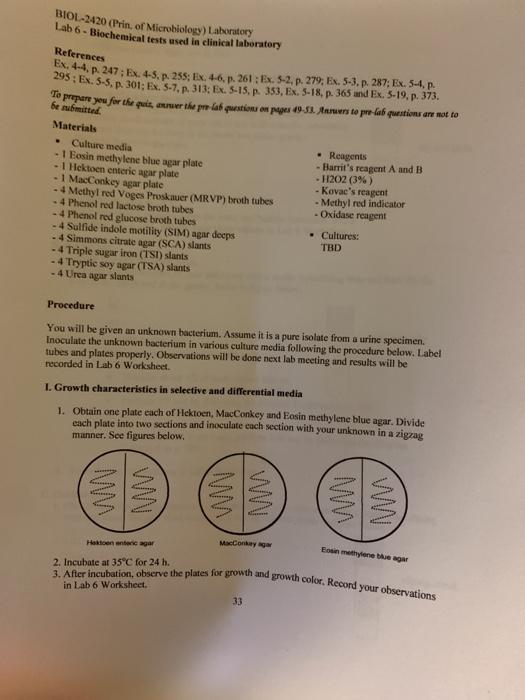 BIOL-2420 (Prin, of Microbiology) Laboratory Lab 6 - | Chegg.com