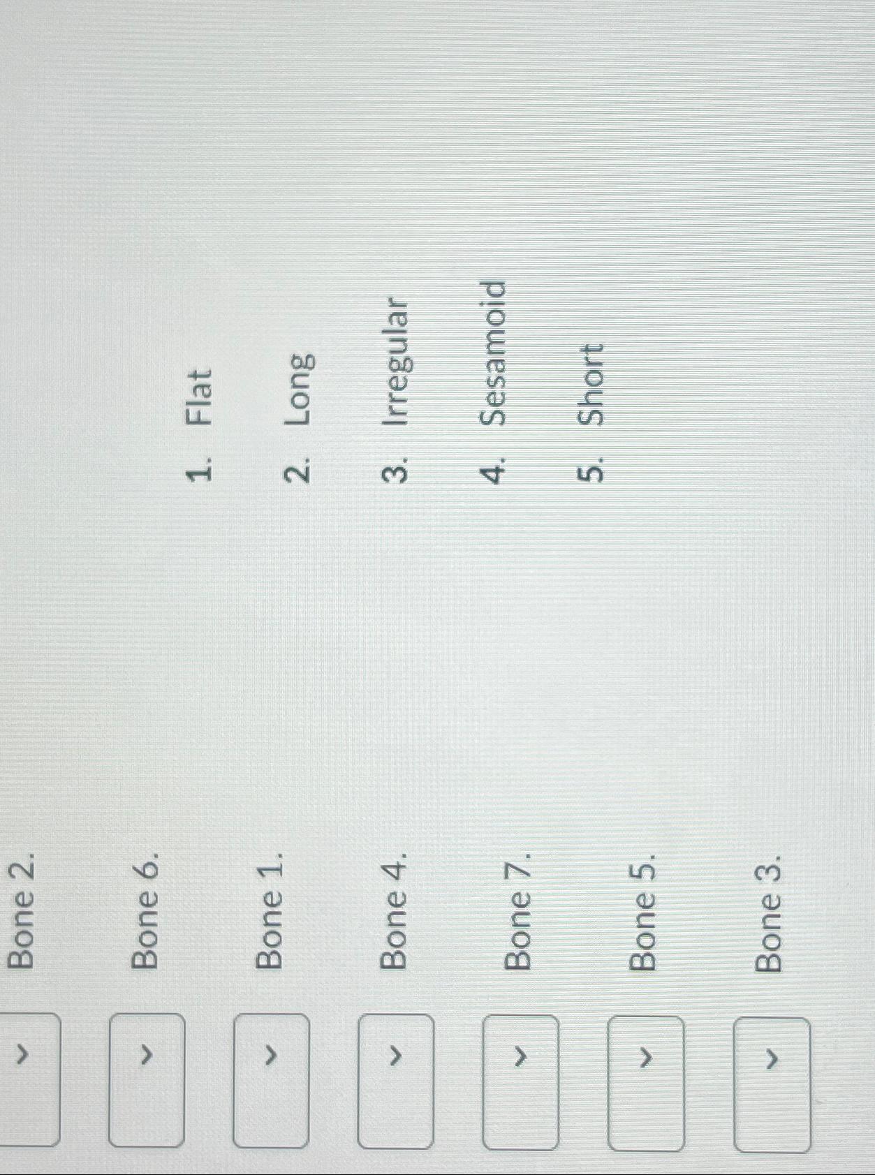 Solved Bone 2.Bone 6.FlatBone 1.2. ﻿LongBone 4.3. | Chegg.com