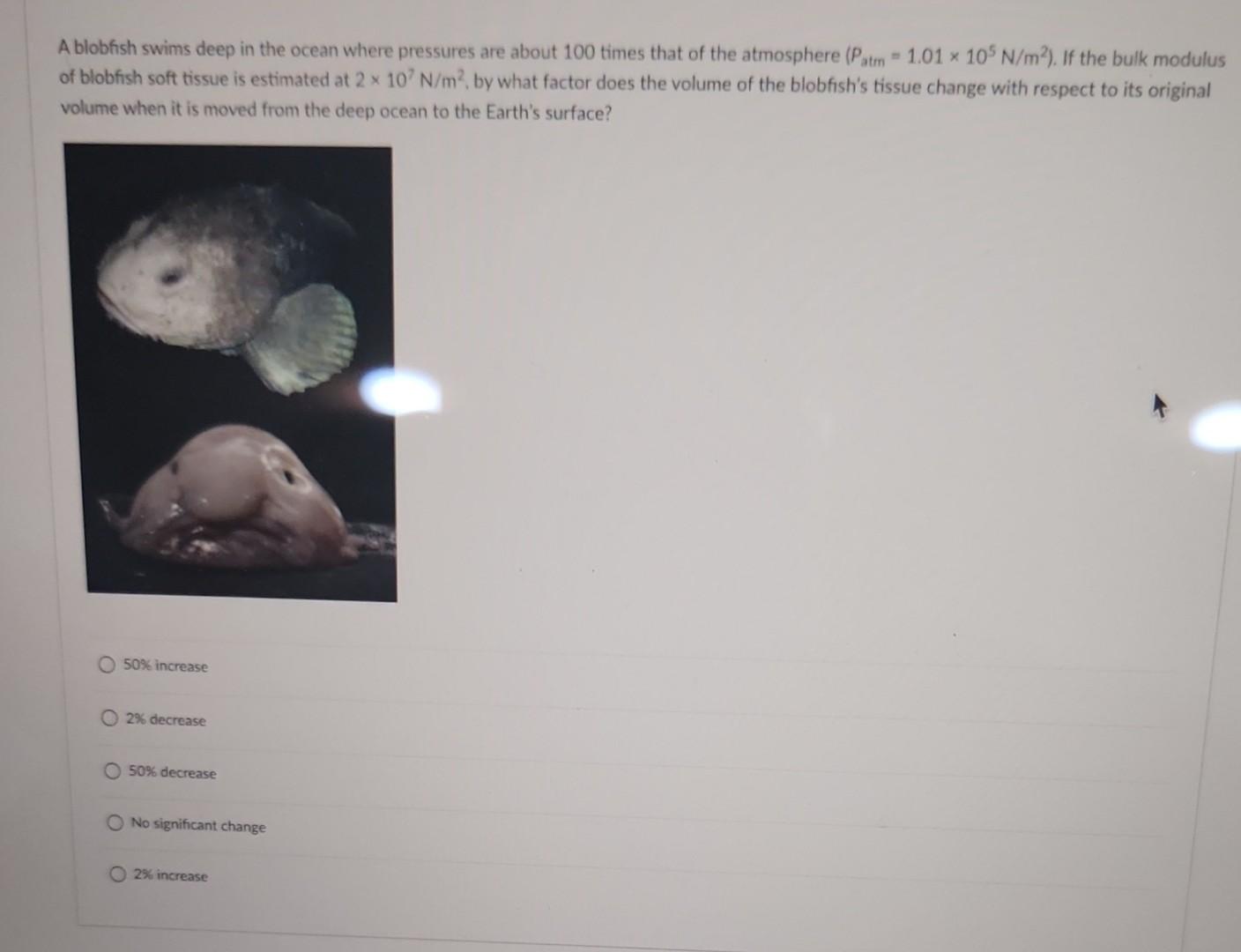 [Solved]: A blobfish swims deep in the ocean where