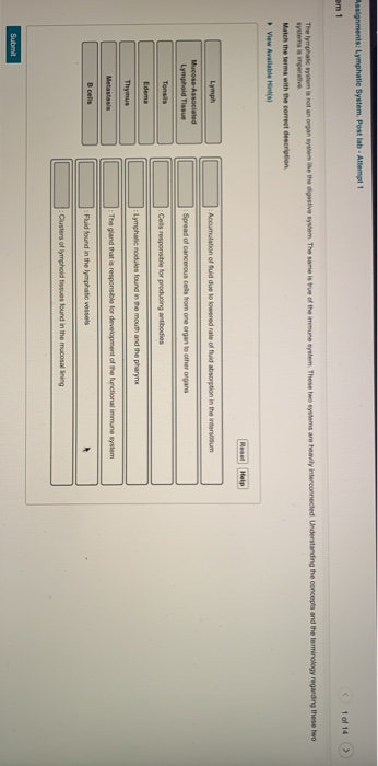 Solved Assignments:Lymphatic system. Post lab. Attempt em 1 | Chegg.com