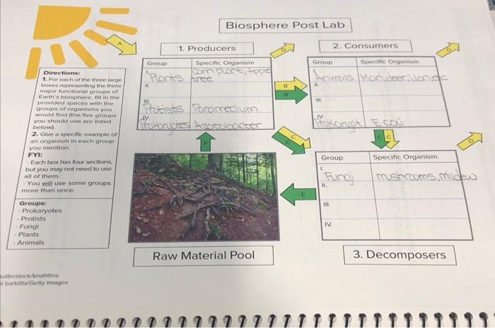 ECOSYSTEMS AND POLLUTION POST LAB Name After | Chegg.com
