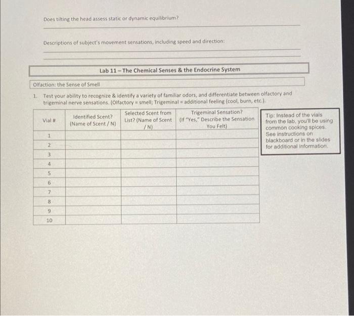 Solved 4 Visual Acuity: Explain what each of the numbers | Chegg.com