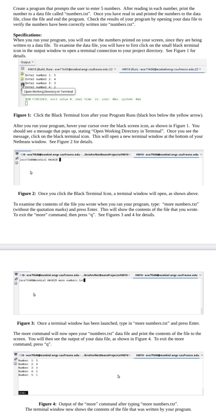 Solved Using C++Create a program that prompts the user to | Chegg.com