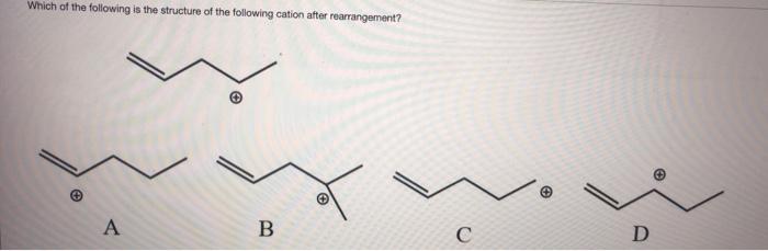 Solved Which of the following is the structure of the | Chegg.com