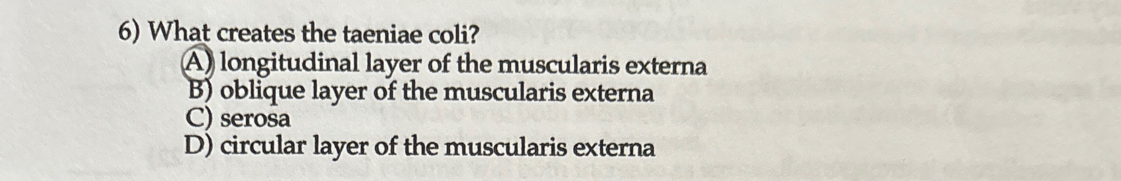 Solved What creates the taeniae coli?A) ﻿longitudinal layer | Chegg.com