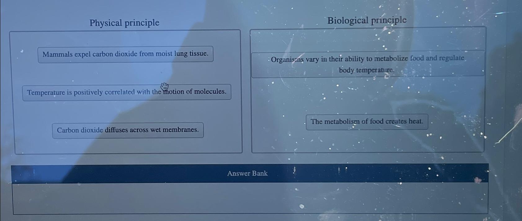 Solved Physical principleMammals expel carbon dioxide from | Chegg.com
