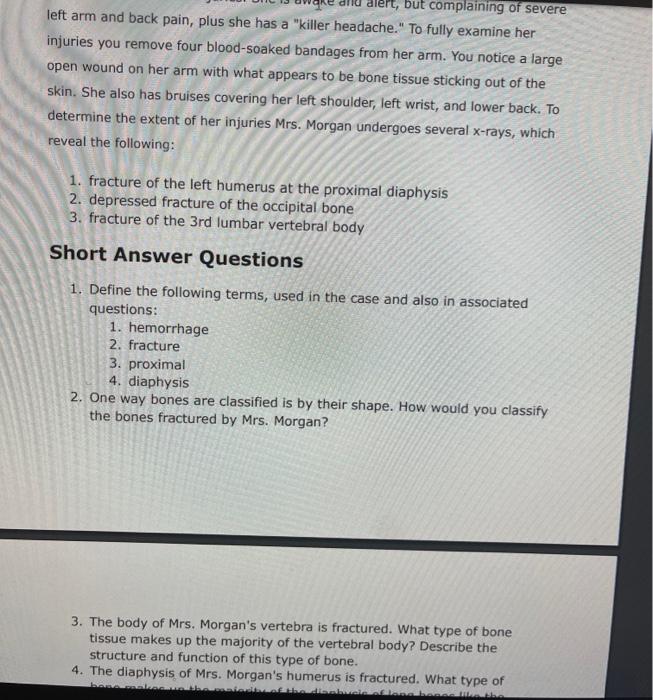 3. The body of Mrs. Morgan's vertebra is | Chegg.com
