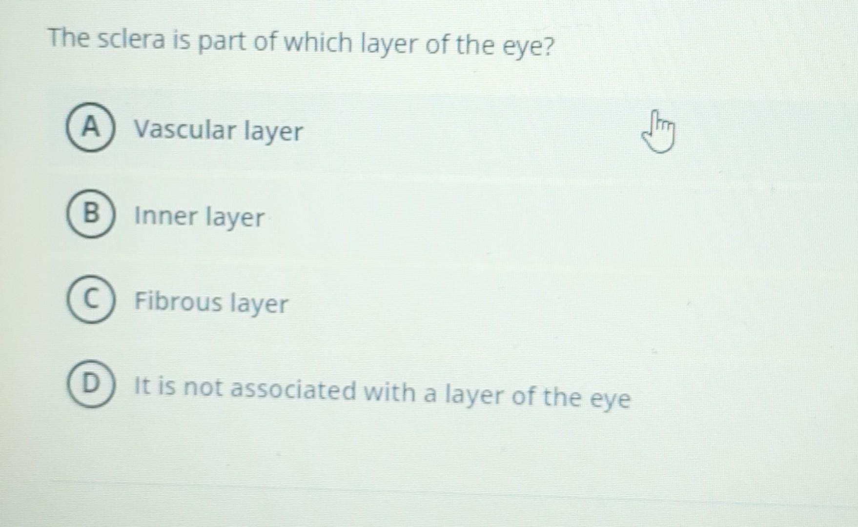 Solved The sclera is part of which layer of the eye? | Chegg.com