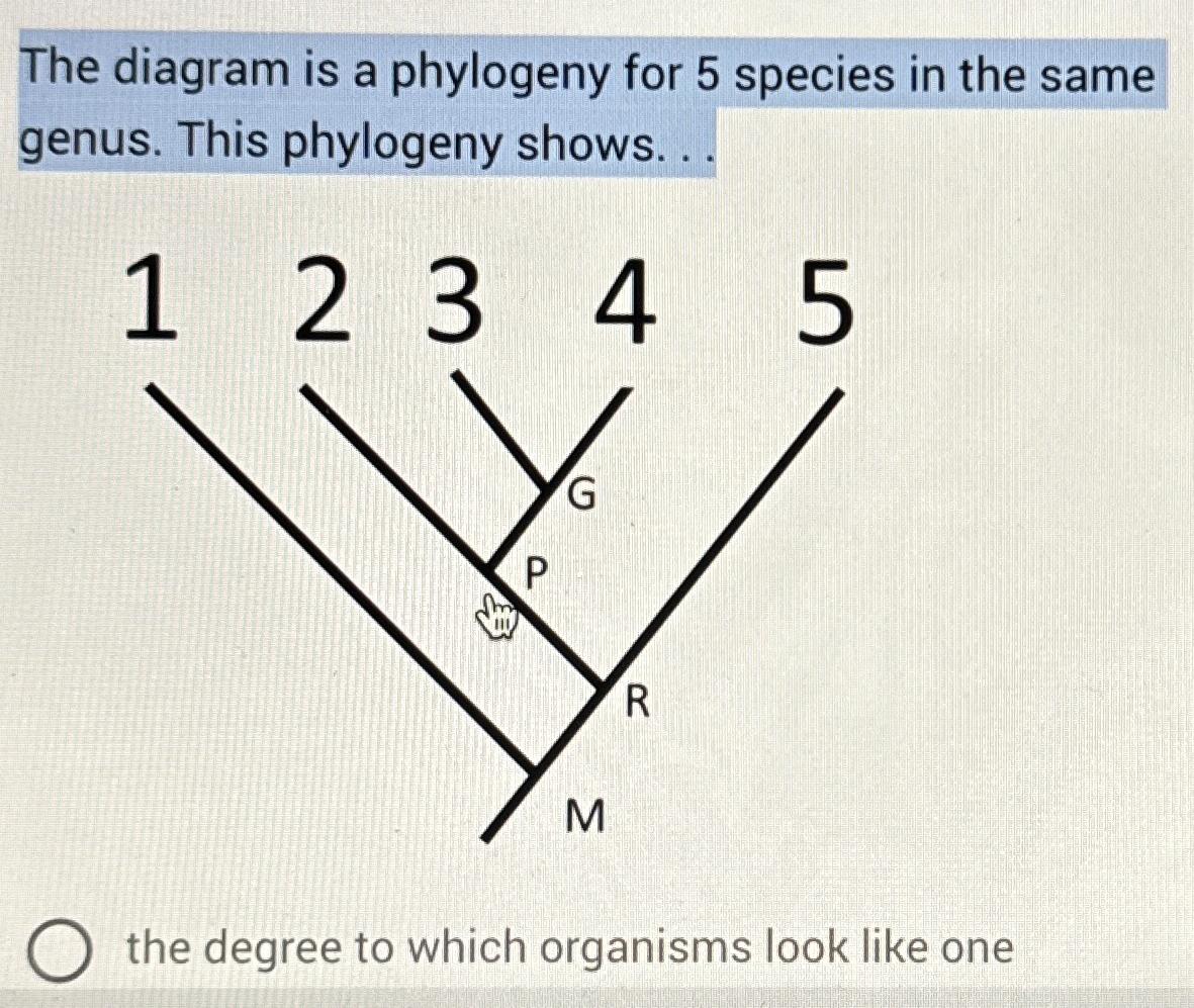 Solved The diagram is a phylogeny for 5 ﻿species in the same | Chegg.com