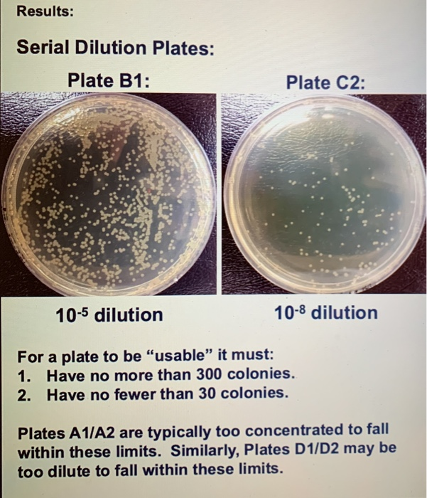 Lab Section I was present and performed this exercise | Chegg.com