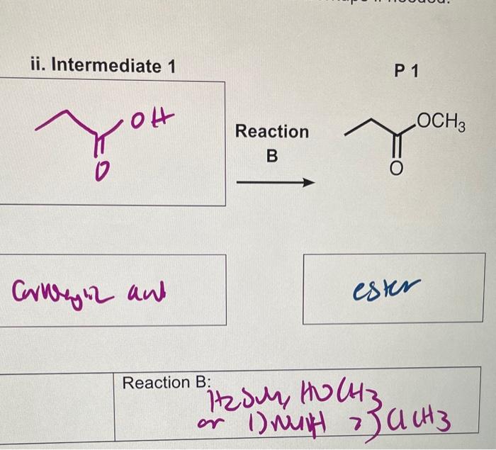 Solved ii. Intermediate 1 P 1 Reaction Corbegite ant ester | Chegg.com