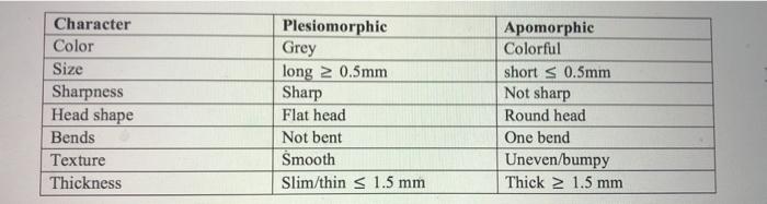 Solved Character Color Size Sharpness Head shape Bends | Chegg.com