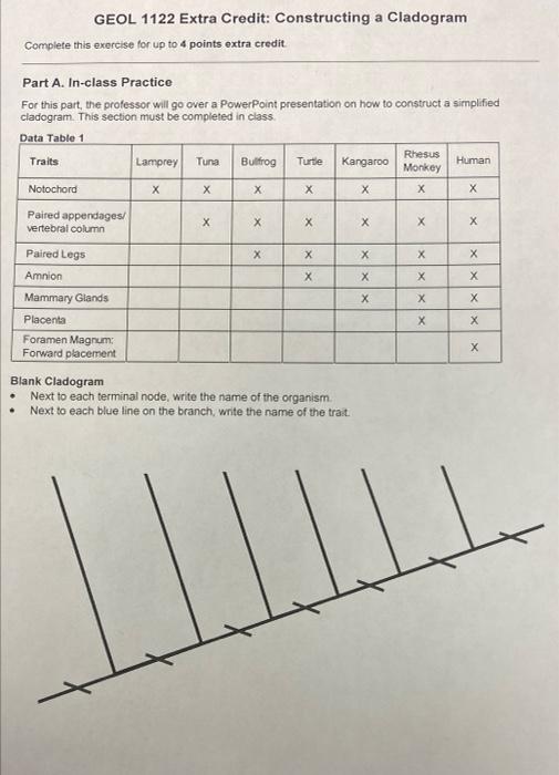 Solved GEOL 1122 Extra Credit: Constructing a Cladogram | Chegg.com