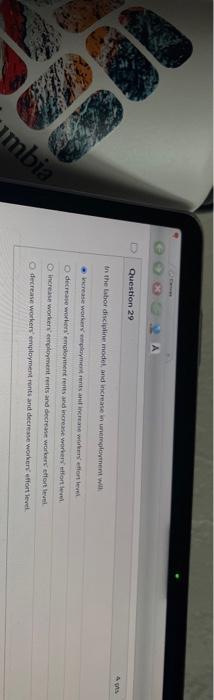 Solved eiqui Canvas Question 29 2 Ã In the labor discipline | Chegg.com