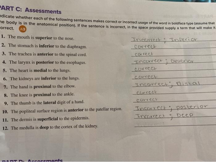Solved A3 PART C: Assessments adicate whether each of the | Chegg.com