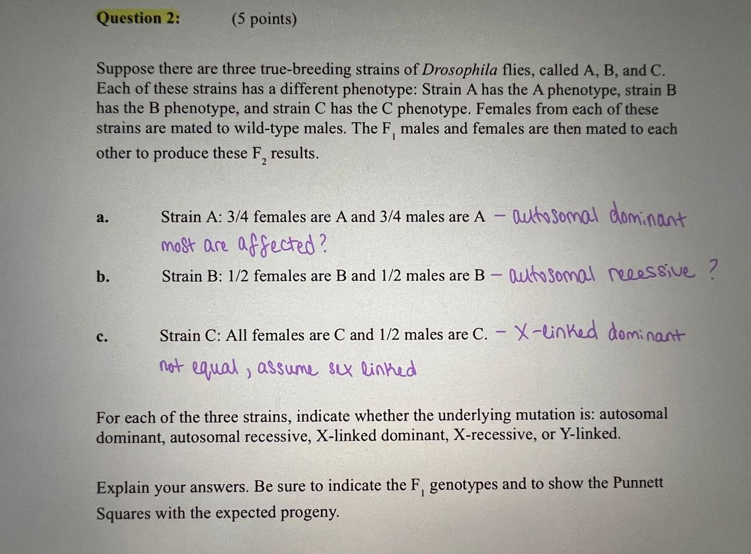 Solved Suppose there are three true-breeding strains of | Chegg.com