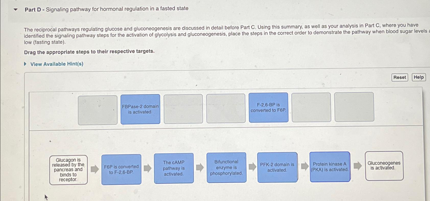 Solved Part D - ﻿Signaling pathway for hormonal regulation | Chegg.com