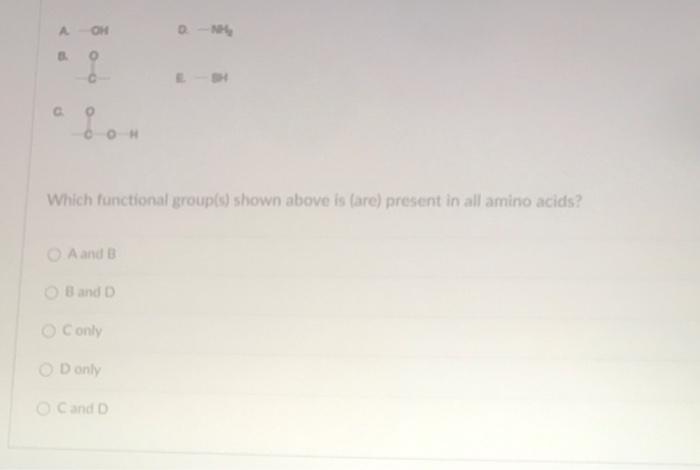 Solved A particular triplet of bases in the coding sequence | Chegg.com