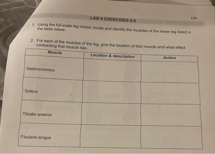 Solved can anyone help me. | Chegg.com