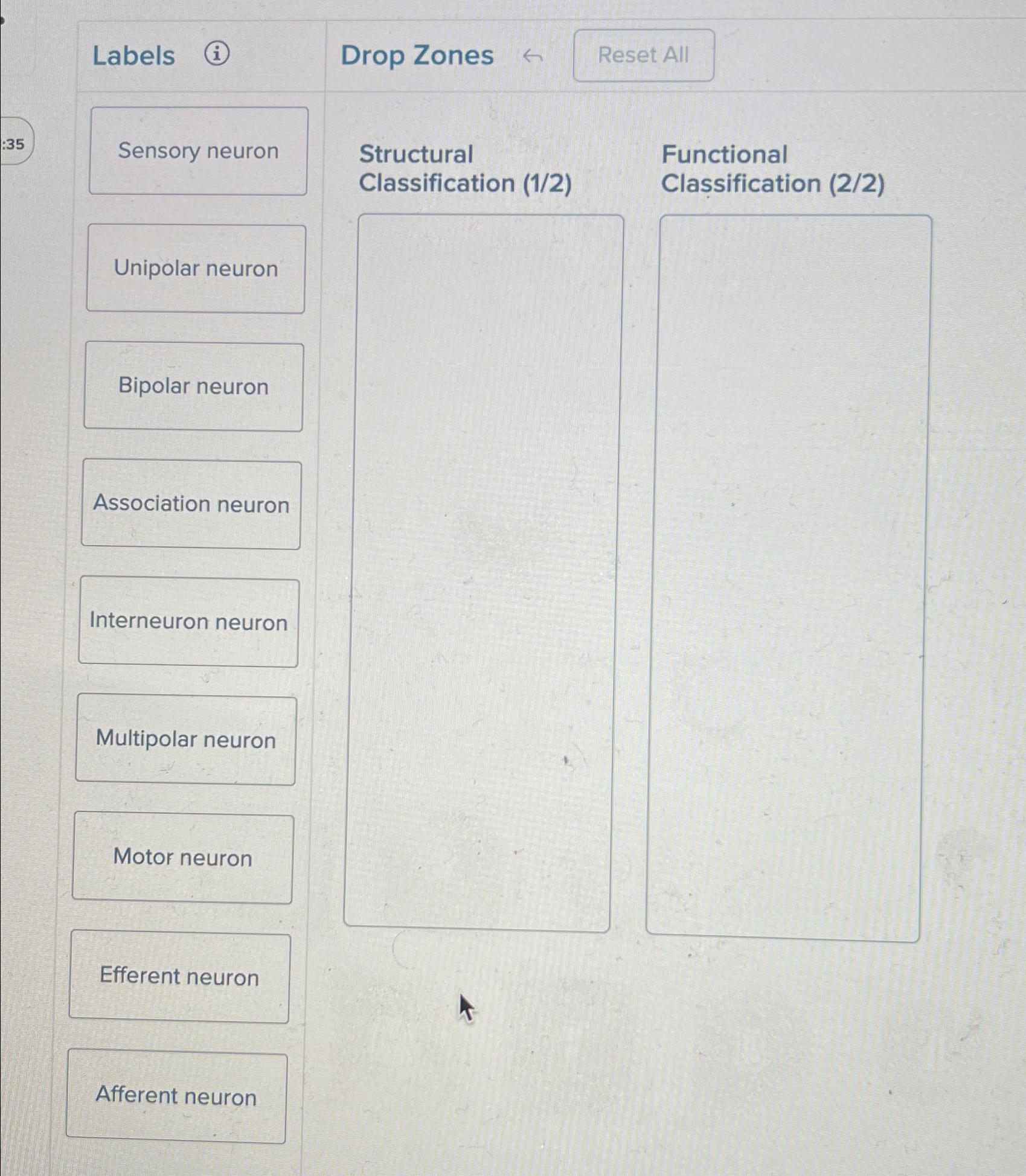 Solved Labels(i)Drop ZonesSensory | Chegg.com
