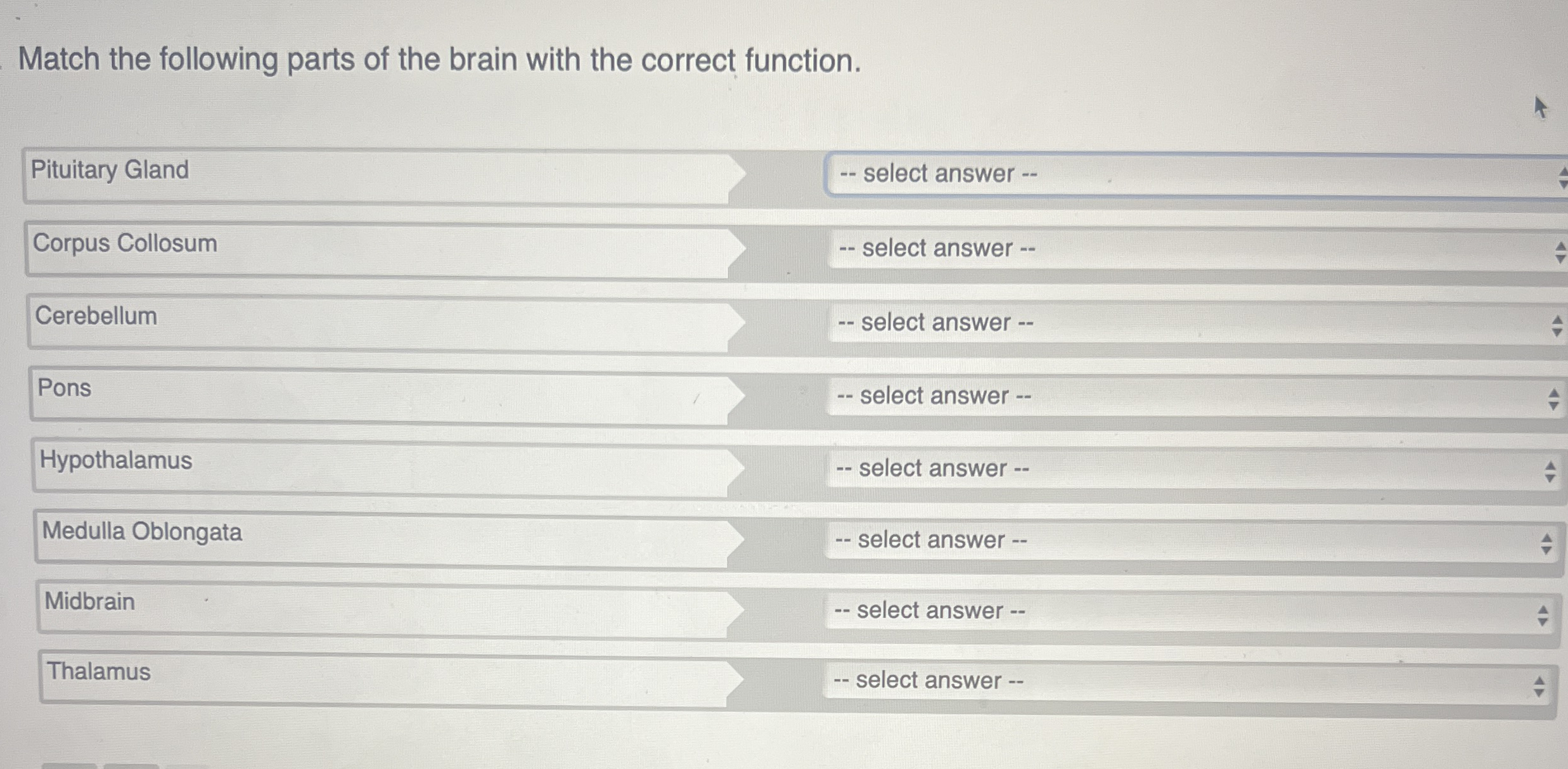 Match the following parts of the brain with the | Chegg.com