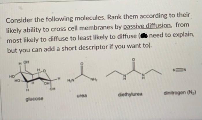 Solved Consider the following molecules. Rank them according | Chegg.com