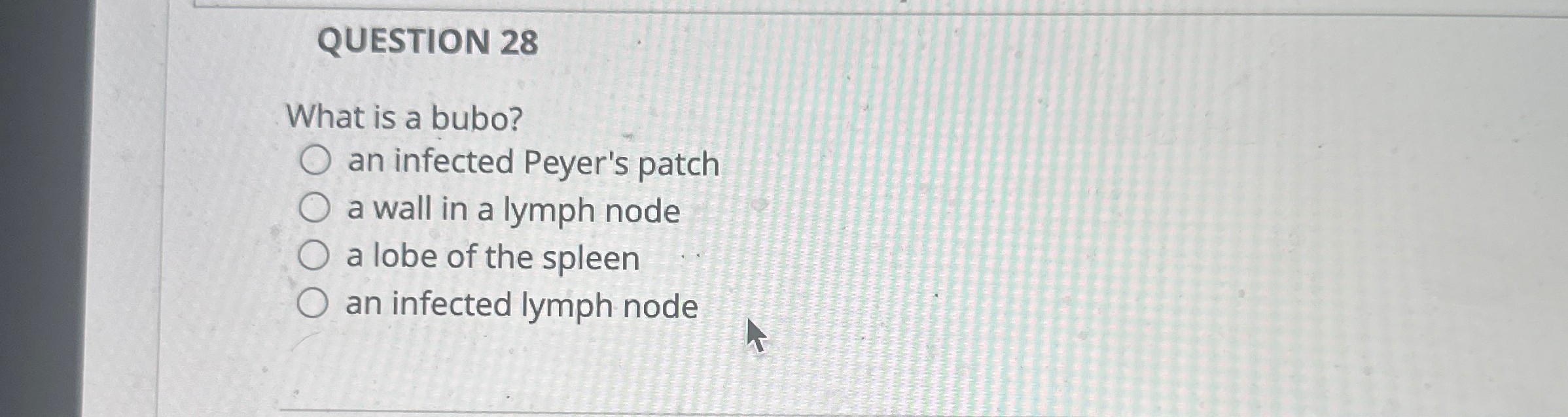 Solved Question 28what Is A Bubo An Infected Peyer S Patcha Chegg