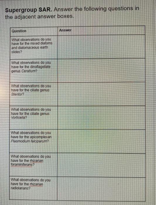 Supergroup SAR. Answer the following questions in the | Chegg.com
