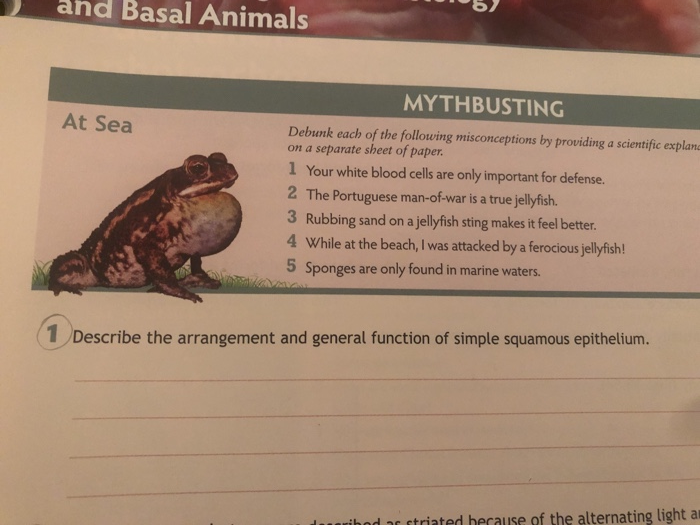 Solved and Basal Animals 5 MYTHBUSTING At Sea Debunk each of | Chegg.com