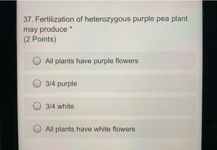 Solved 37. Fertilization of heterozygous purple pea plant | Chegg.com