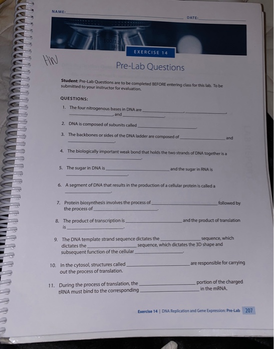 Solved DATE EXERCISE 14 Pre-Lab Questions Student: Pre-Lab | Chegg.com