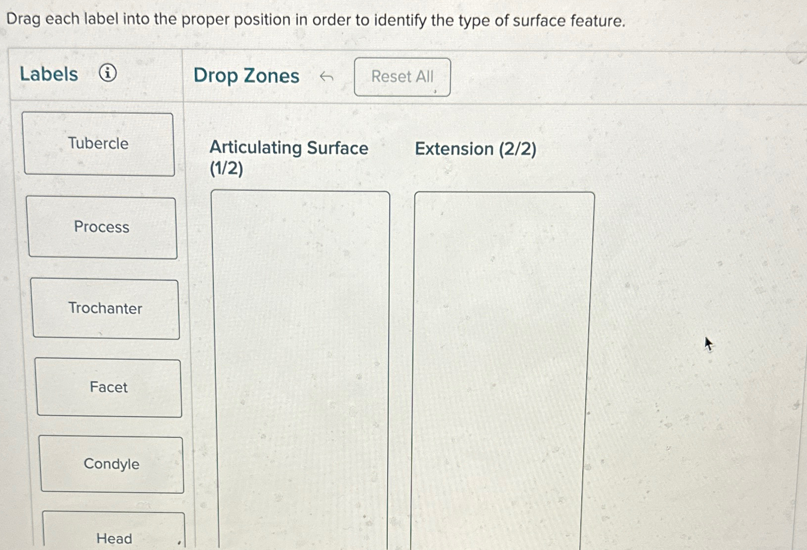 Solved Drag each label into the proper position in order to | Chegg.com
