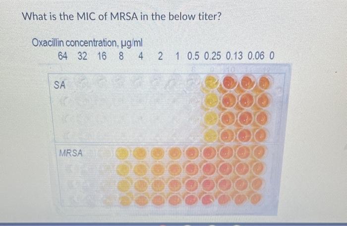 Solved What is the MIC of MRSA in the below titer? | Chegg.com