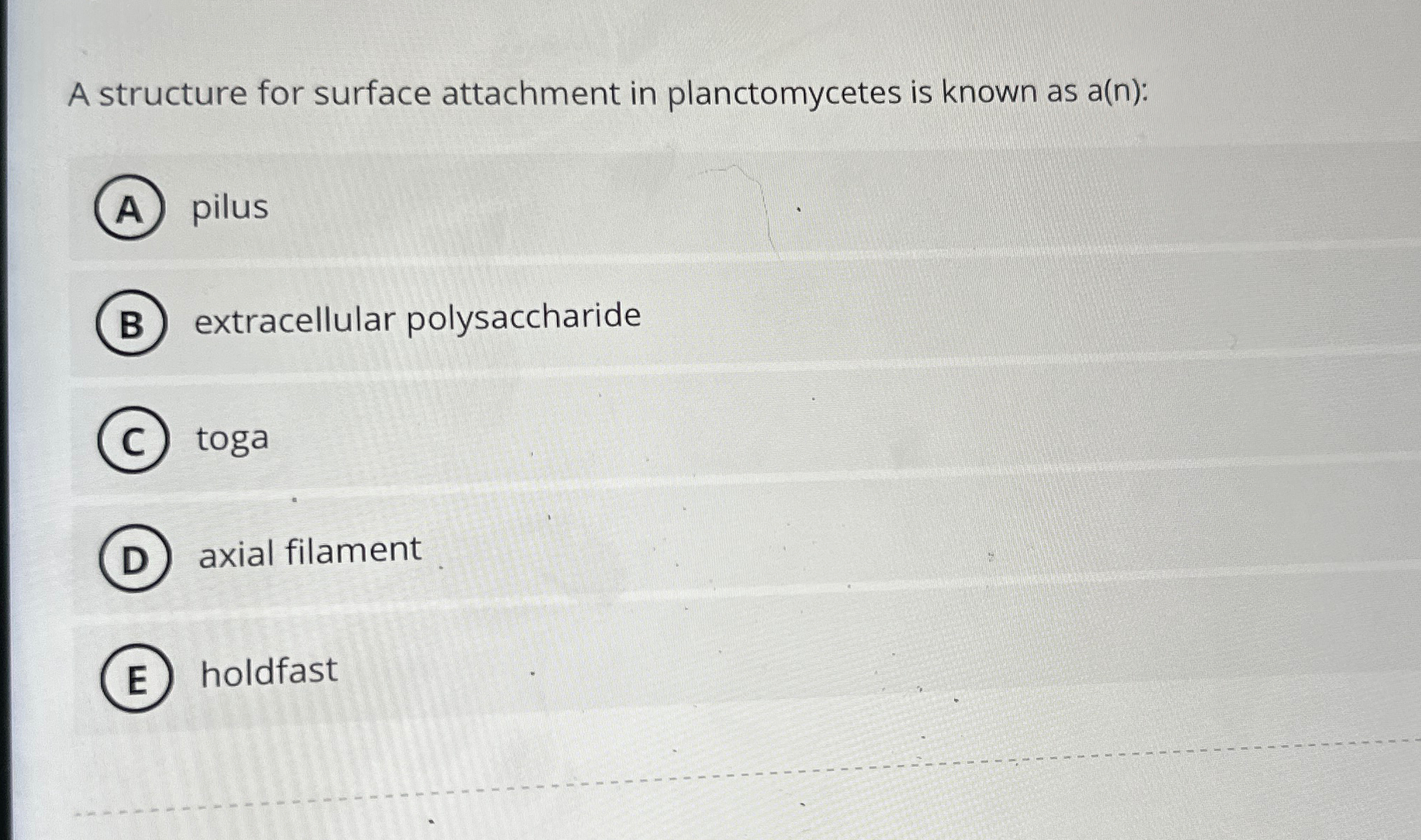 Solved A structure for surface attachment in planctomycetes | Chegg.com