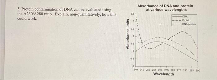 Solved 5. Protein contamination of DNA can be evaluated | Chegg.com