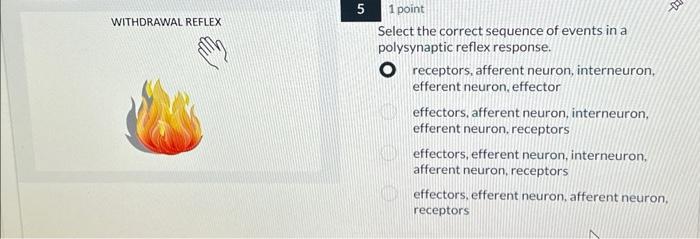Solved Select the correct sequence of events in a | Chegg.com