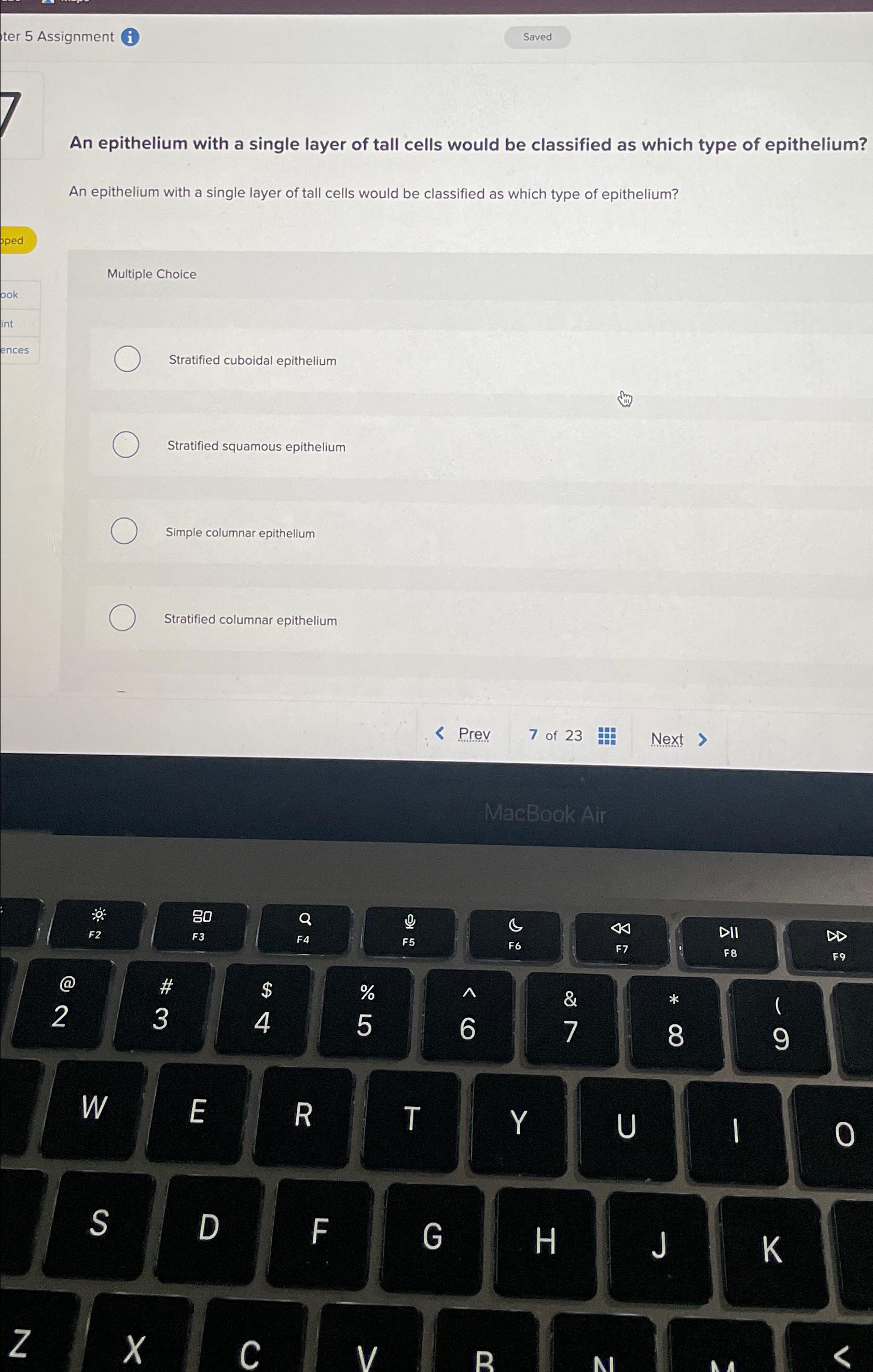 Solved An epithelium with a single layer of tall cells would | Chegg.com