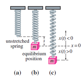 Solved: After a mass m is attached to a spring, it stretches it ...